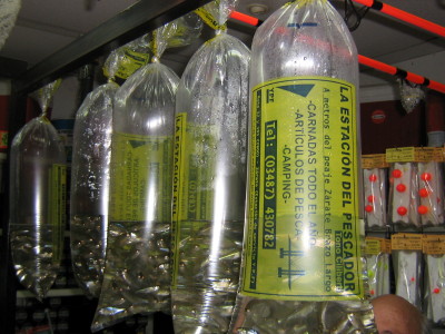 Semanario del Pescador :: TEMPERATURAS POLARES Y PIQUE REMISO - Notas ...